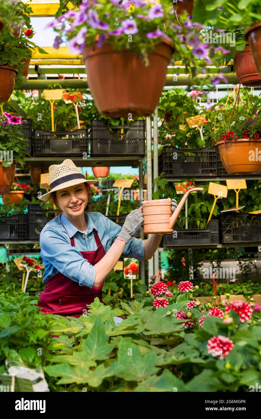 Woman gardener in hat and gloves works with flowers in the greenhouse ...