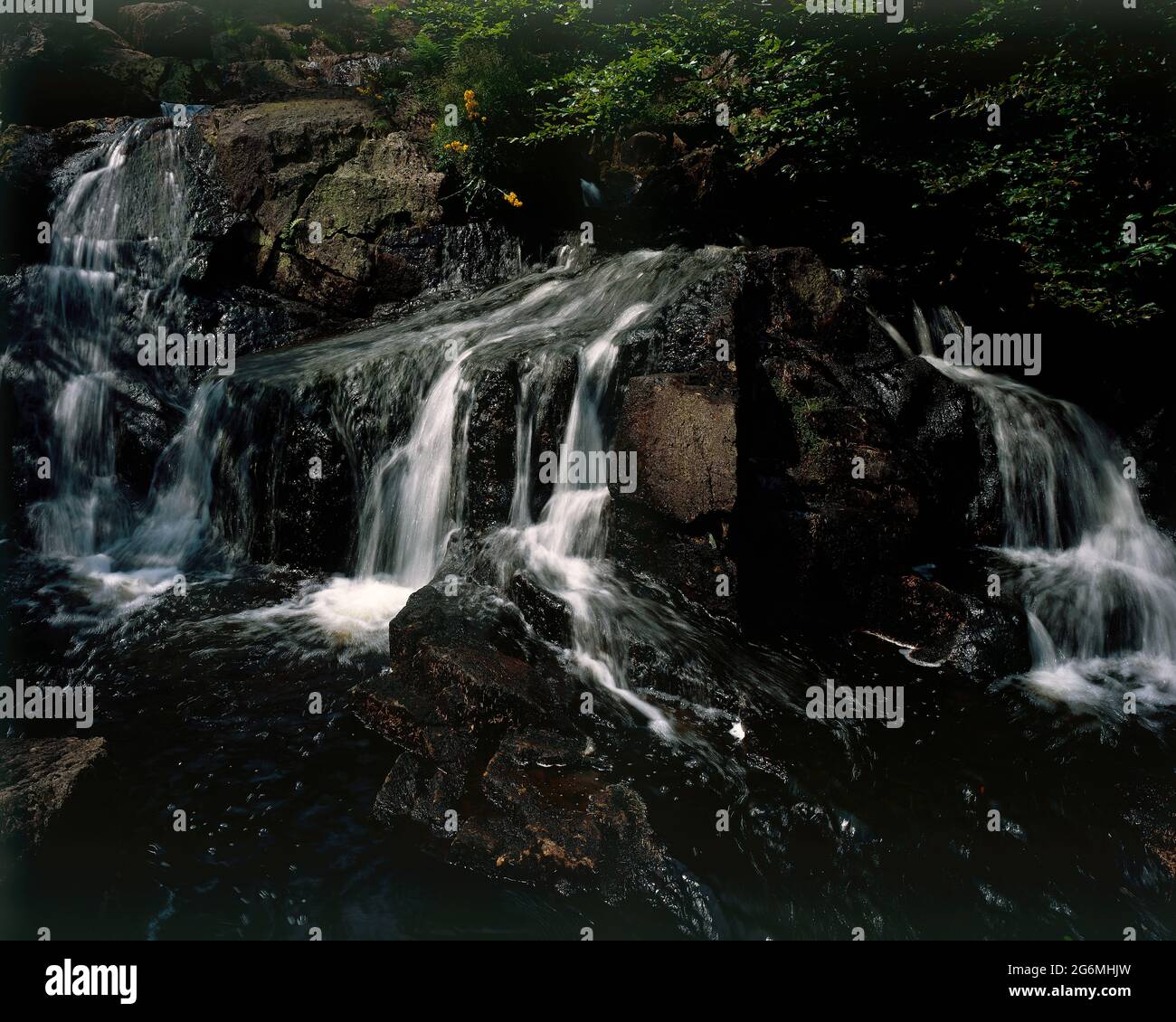 The natural world in greaat britain hi-res stock photography and images ...