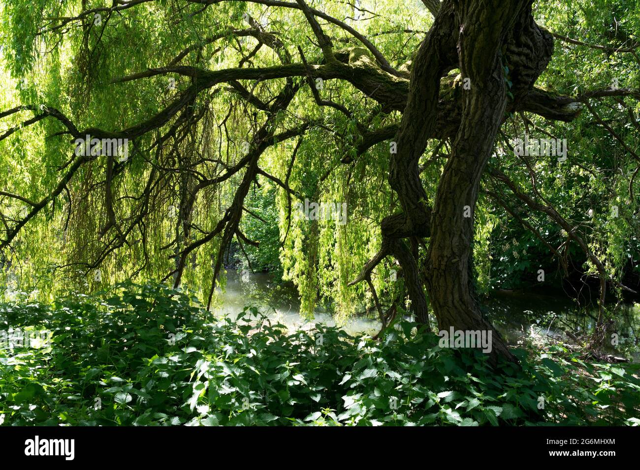 The natural world in greaat britain hi-res stock photography and images ...