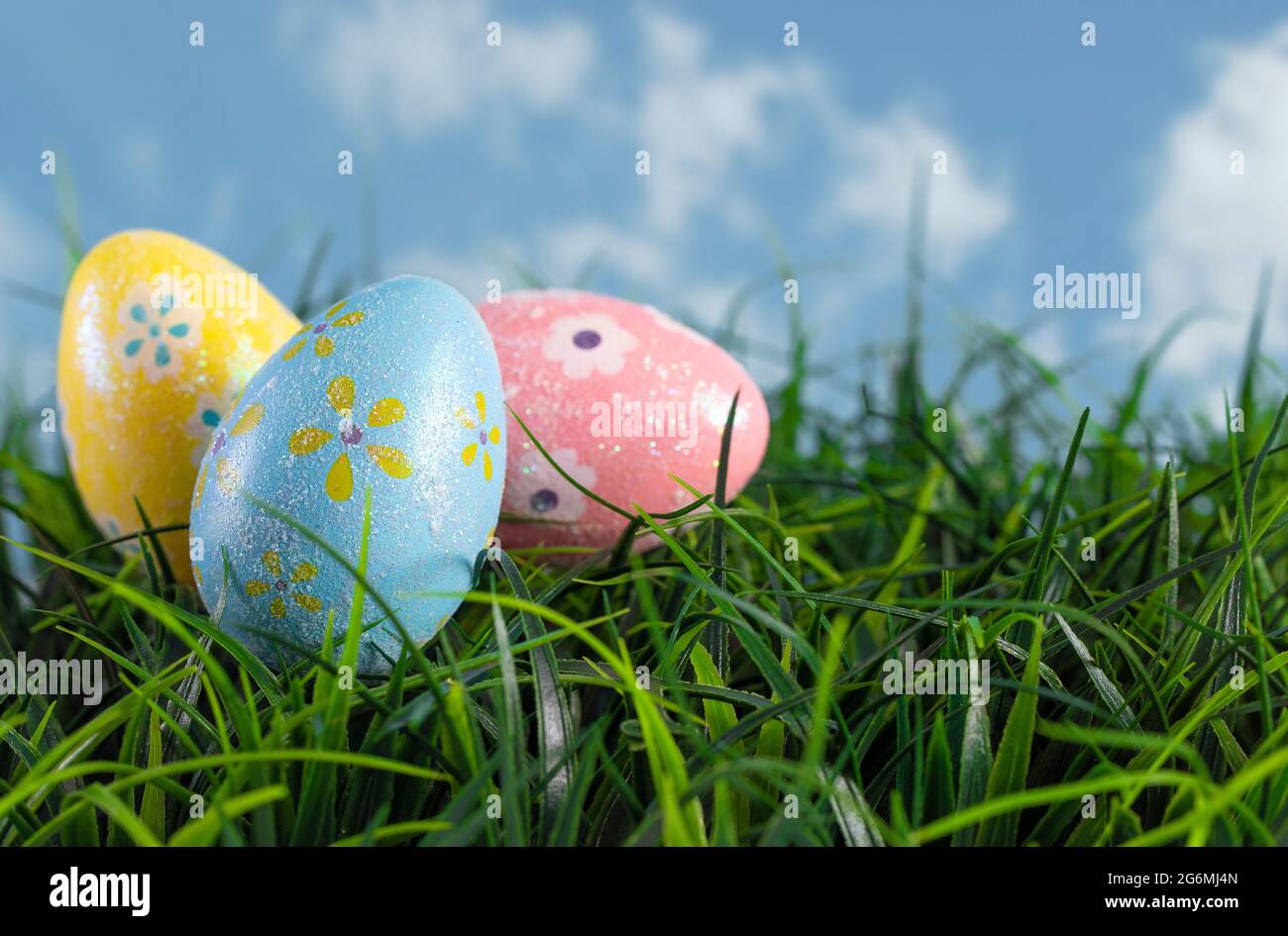 Decorated Easter Eggs Hiding in the Grass on a Beautiful Spring Day ...