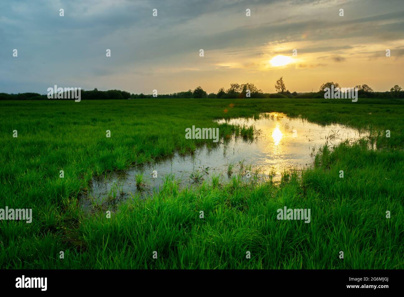 Grass water sun hi-res stock photography and images - Alamy