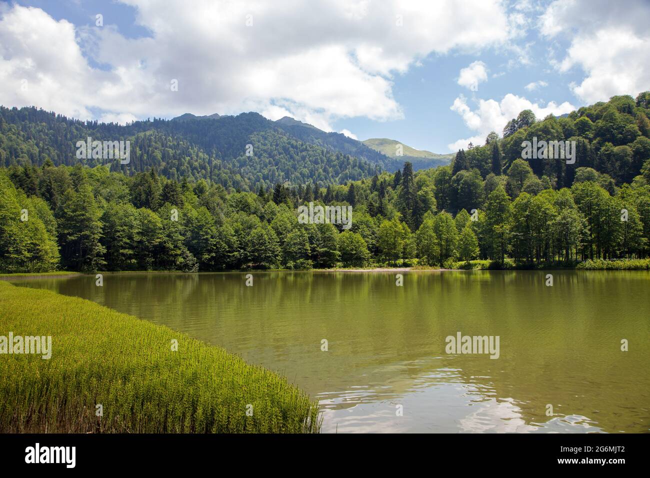 Borcka karagol hi-res stock photography and images - Alamy