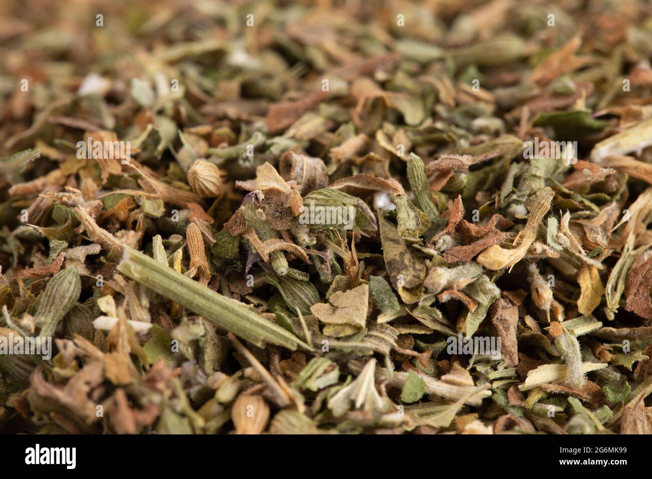 A Macro View Background of Catnip Stock Photo - Alamy