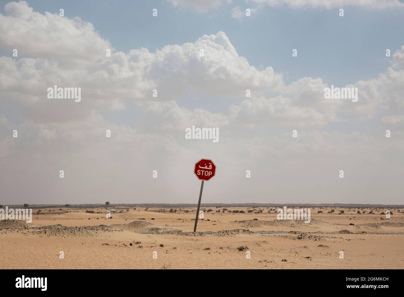 A stop sign in the Dubai desert, UAE Stock Photo - Alamy
