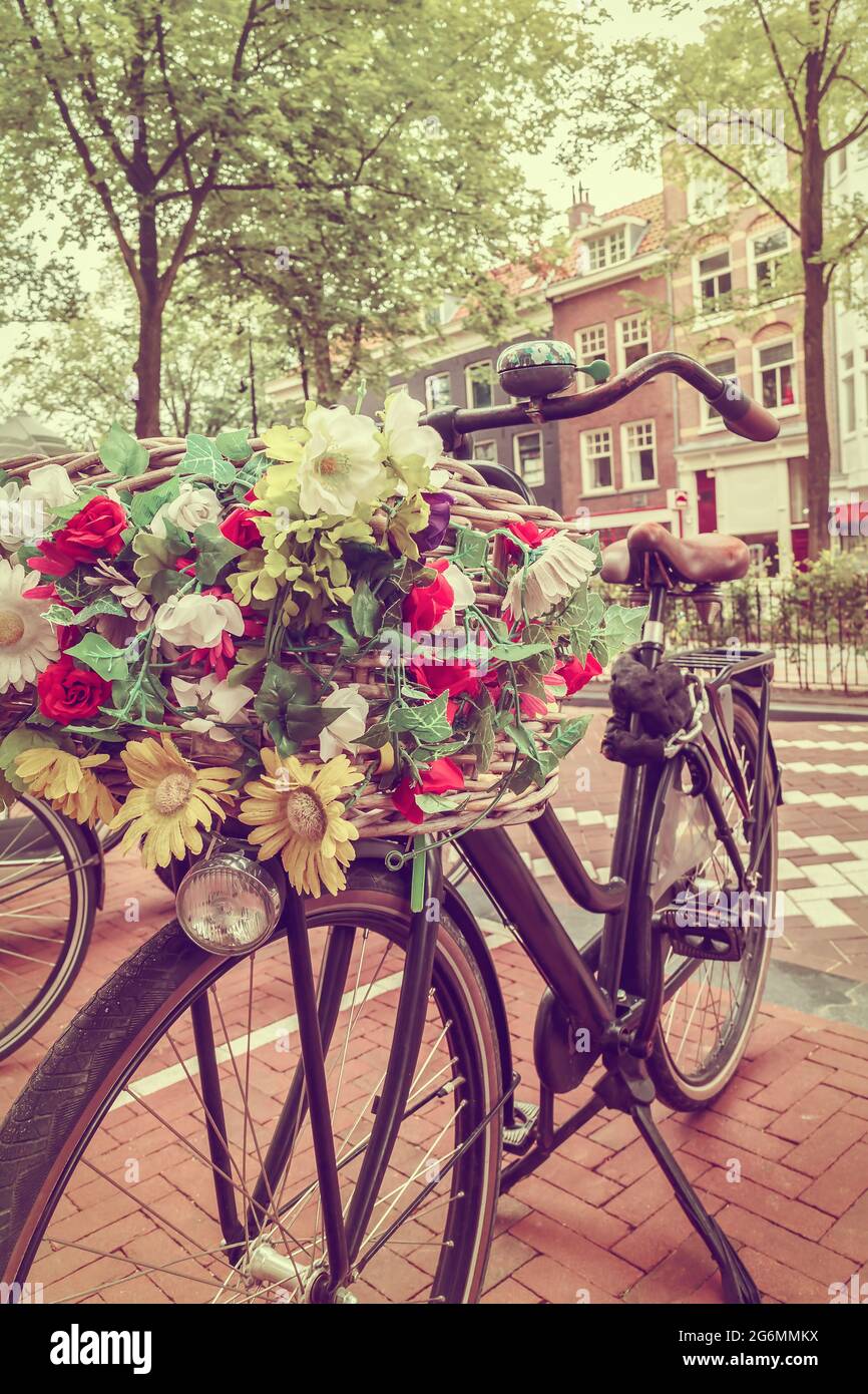 Dutch styled hi-res stock photography and images - Alamy