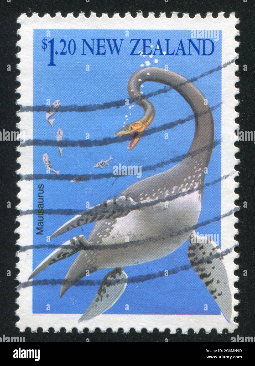 Mauisaurus High Resolution Stock Photography and Images - Alamy