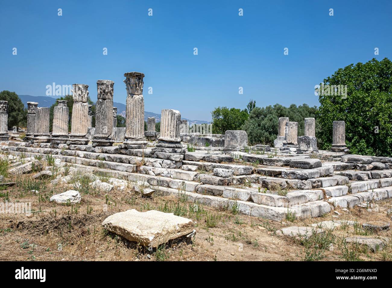 Ruins of the ancient city of Lagina, Yatağan, Muğla, Turkey Stock Photo ...