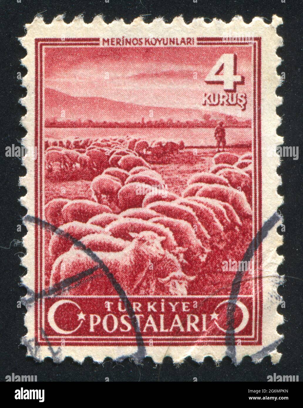 TURKEY- CIRCA 1943: stamp printed by Turkey, shows Merino sheep, circa ...