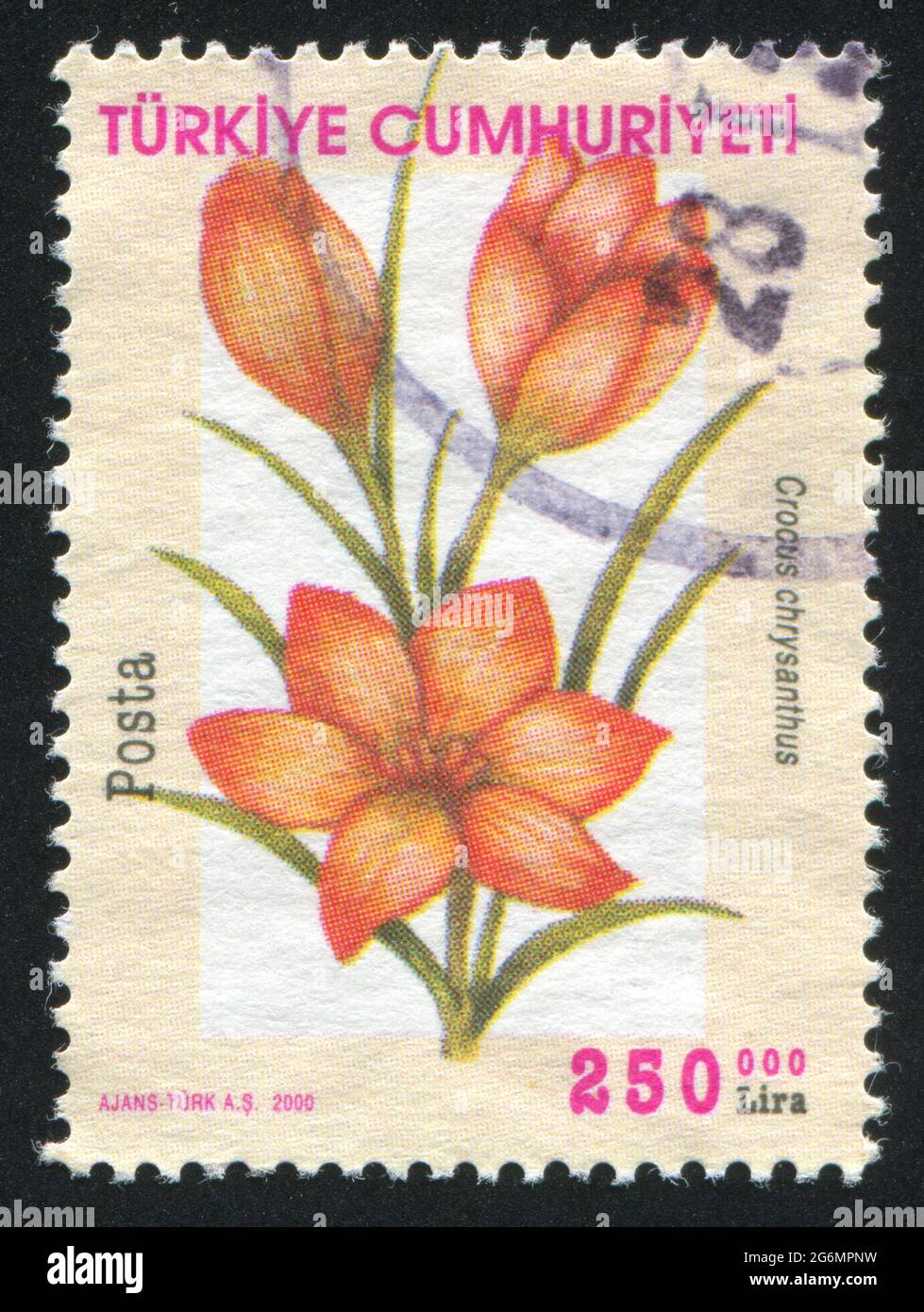 TURKEY - CIRCA 2000: stamp printed by Turkey, shows flower, circa 2000 ...