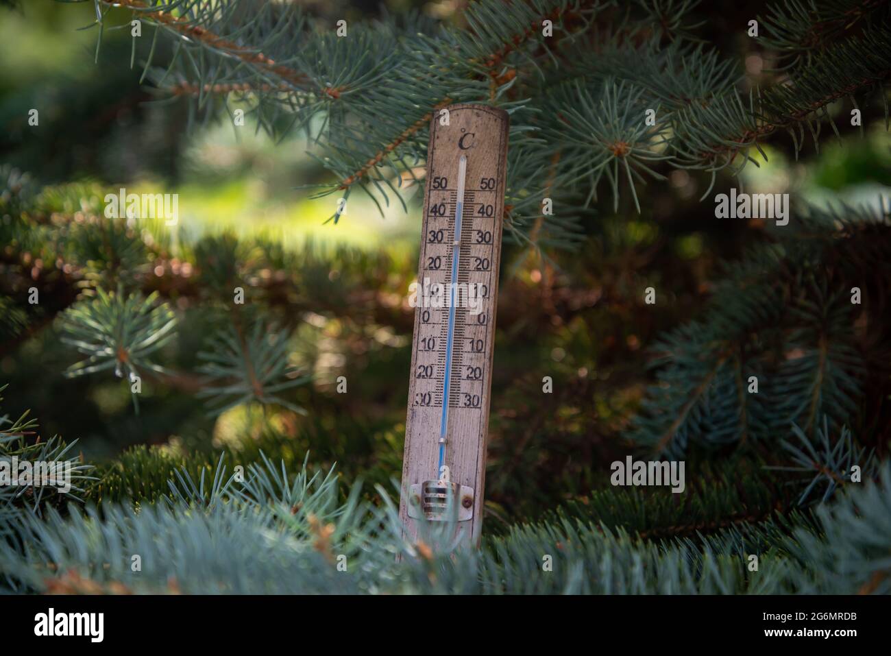 Thermometer shows high temperatures in celsius with pretty green colors ...