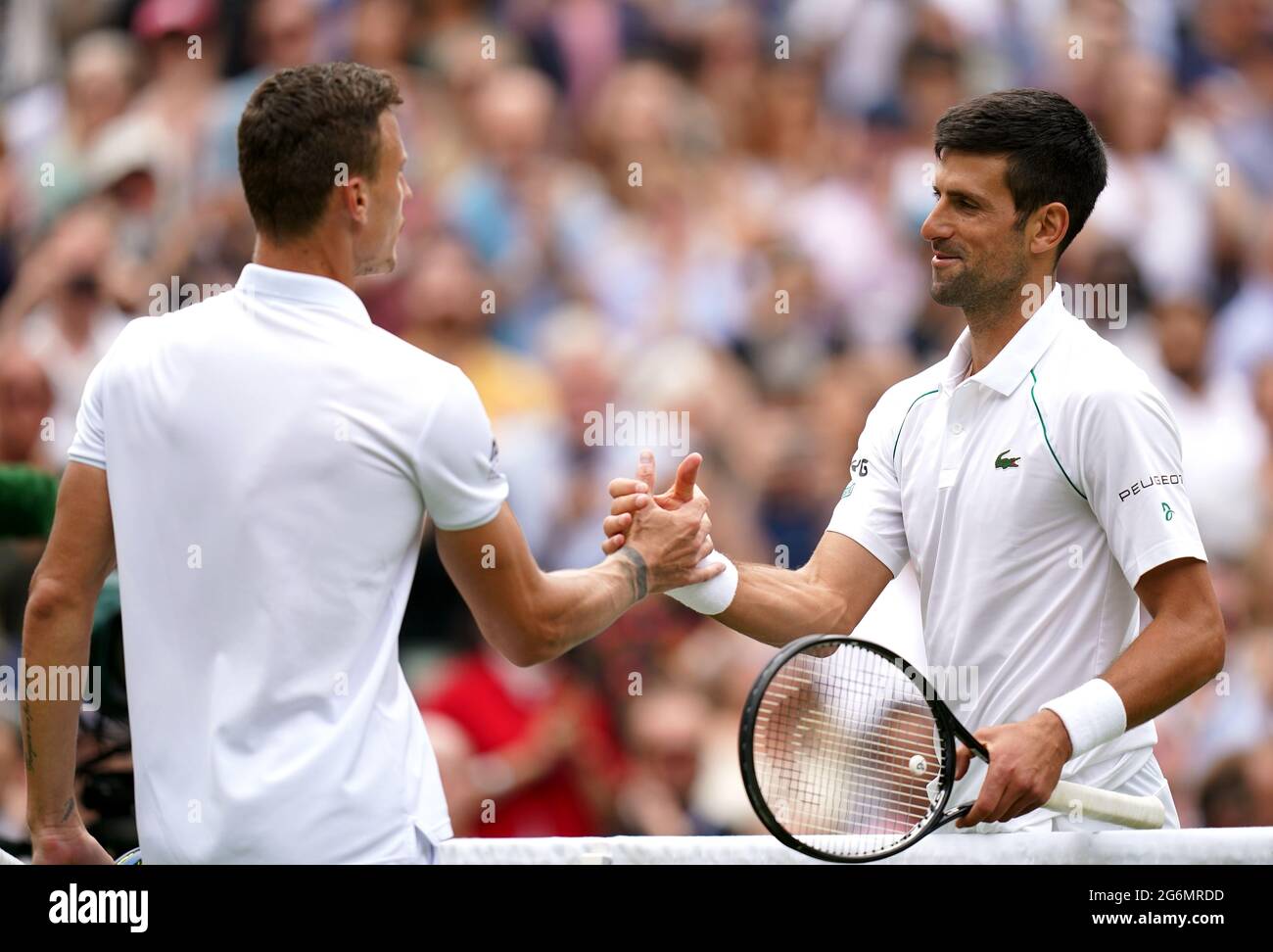 Shakes hands in tennis court hi-res stock photography and images - Alamy