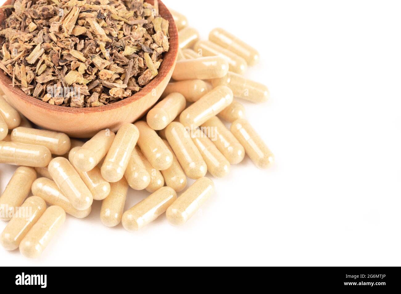 Echinacea capsule hi-res stock photography and images - Alamy