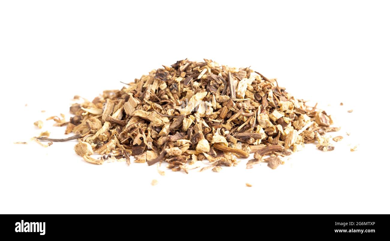 Echinacea root hi-res stock photography and images - Alamy