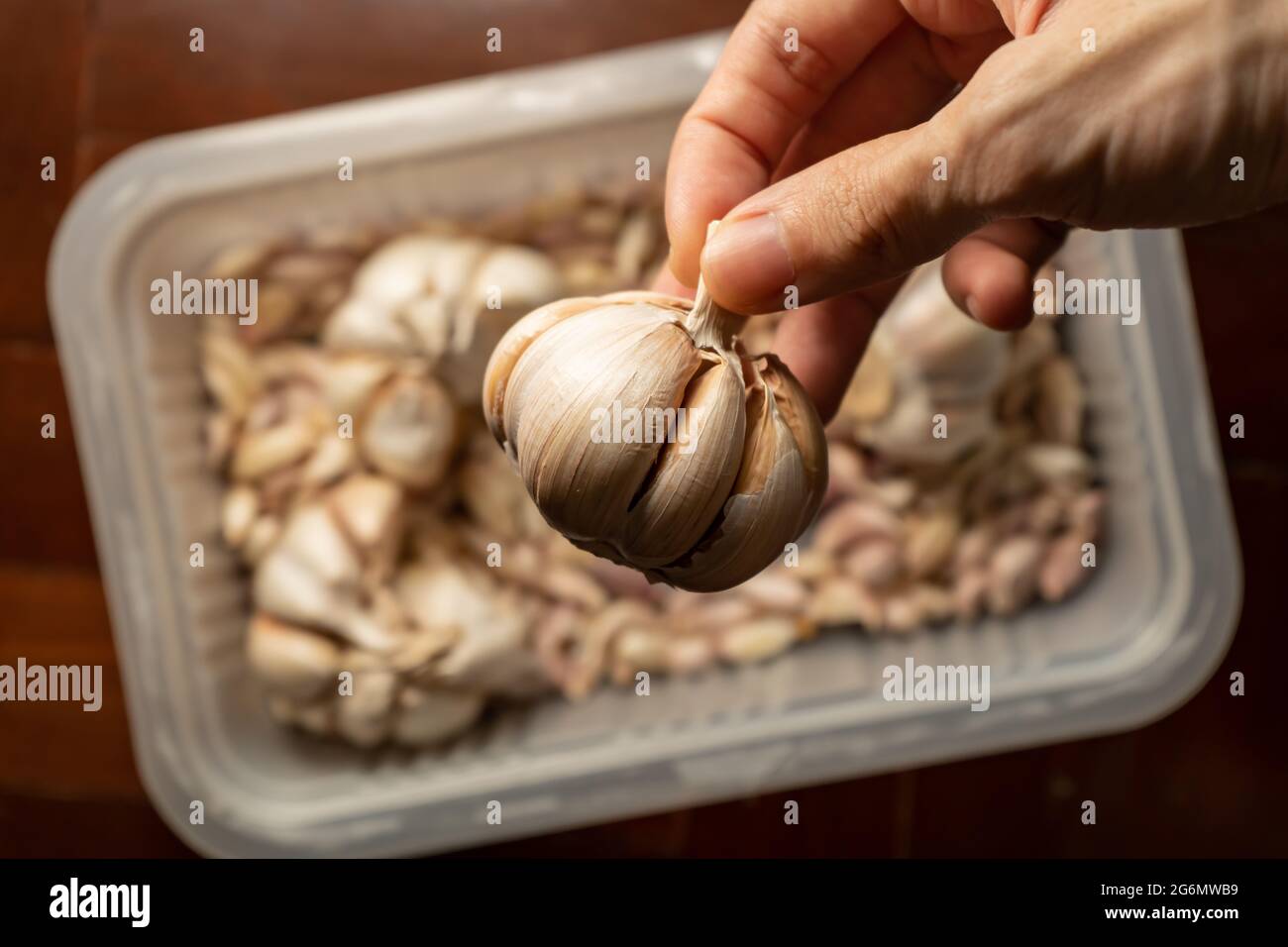 a garlic in a hand Stock Photo - Alamy