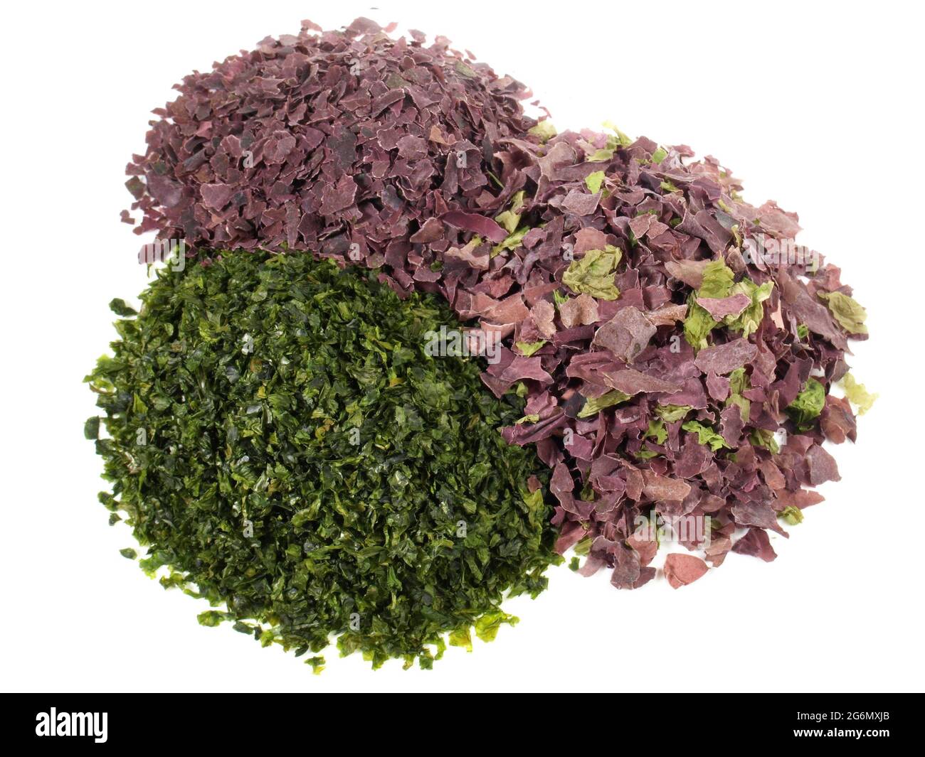 Dried Seaweed Mix - Healthy Nutrition on white Background Stock Photo ...