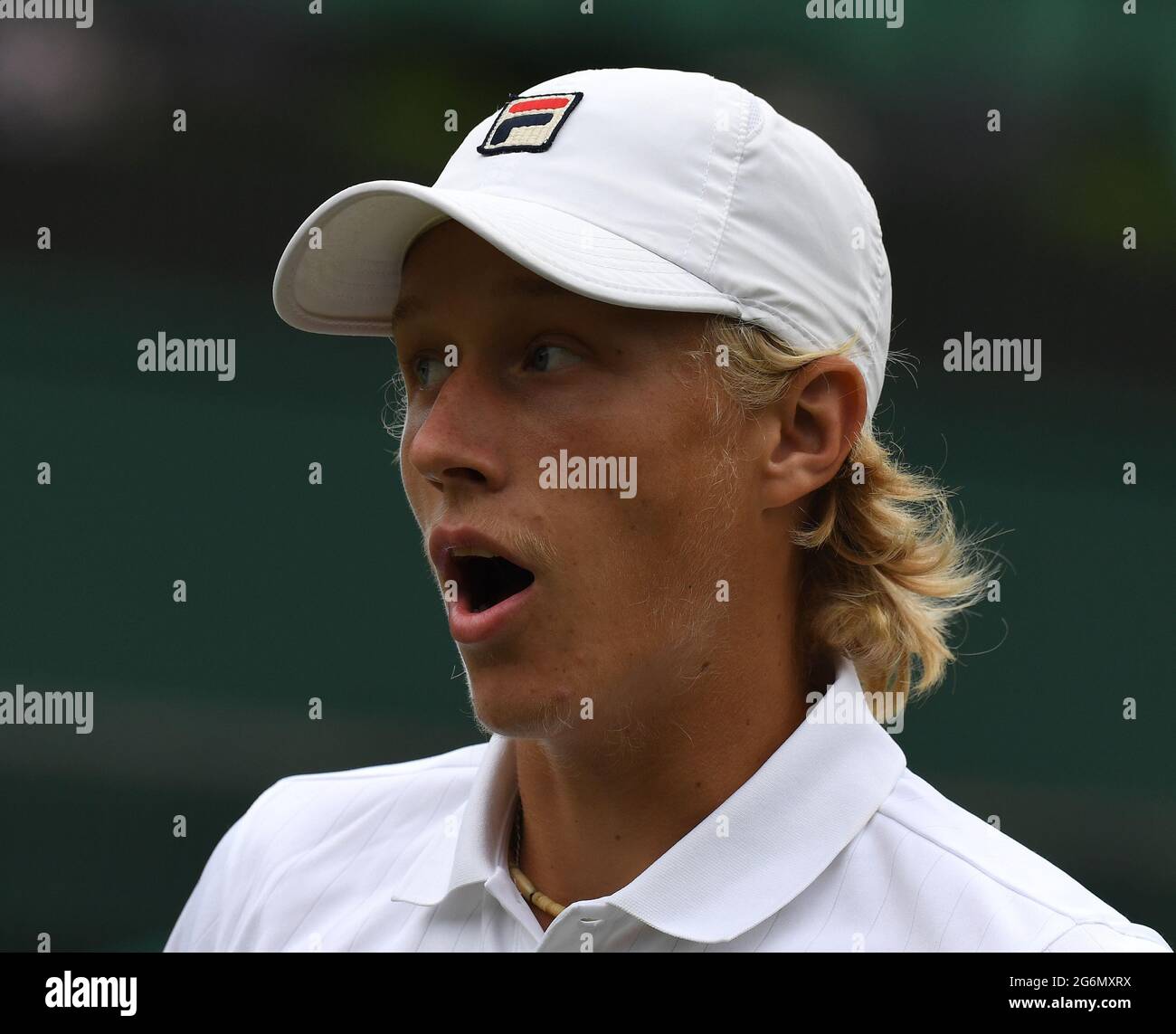 Leo borg bjorn hi-res stock photography and images - Alamy