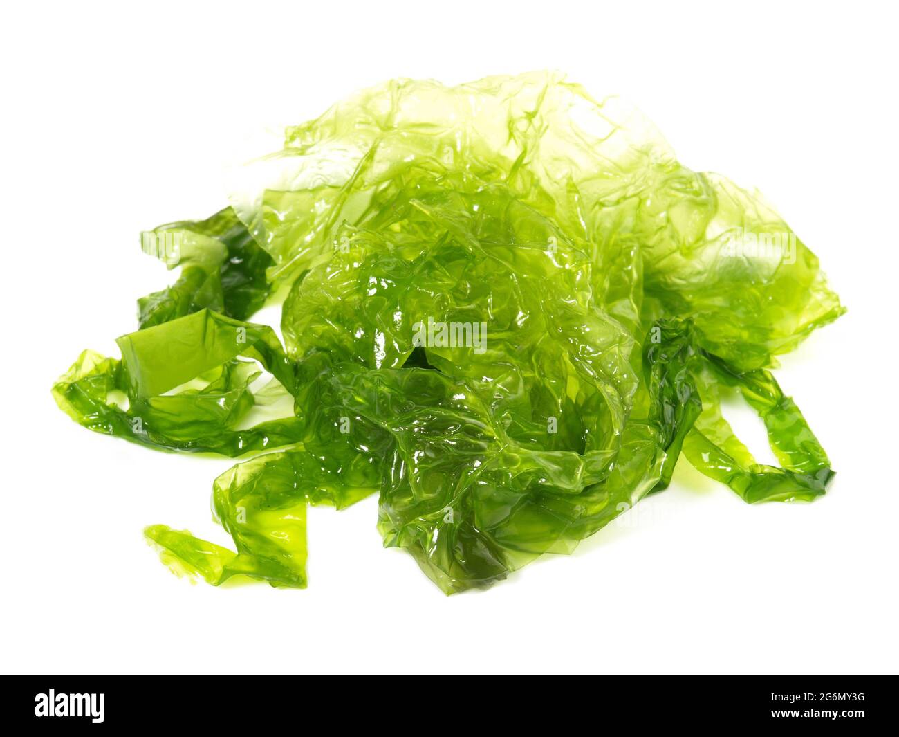 Green algae treatment hi-res stock photography and images - Alamy