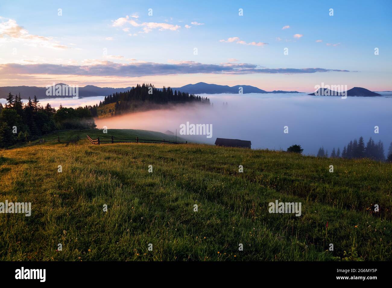 Dense dew hi-res stock photography and images - Alamy