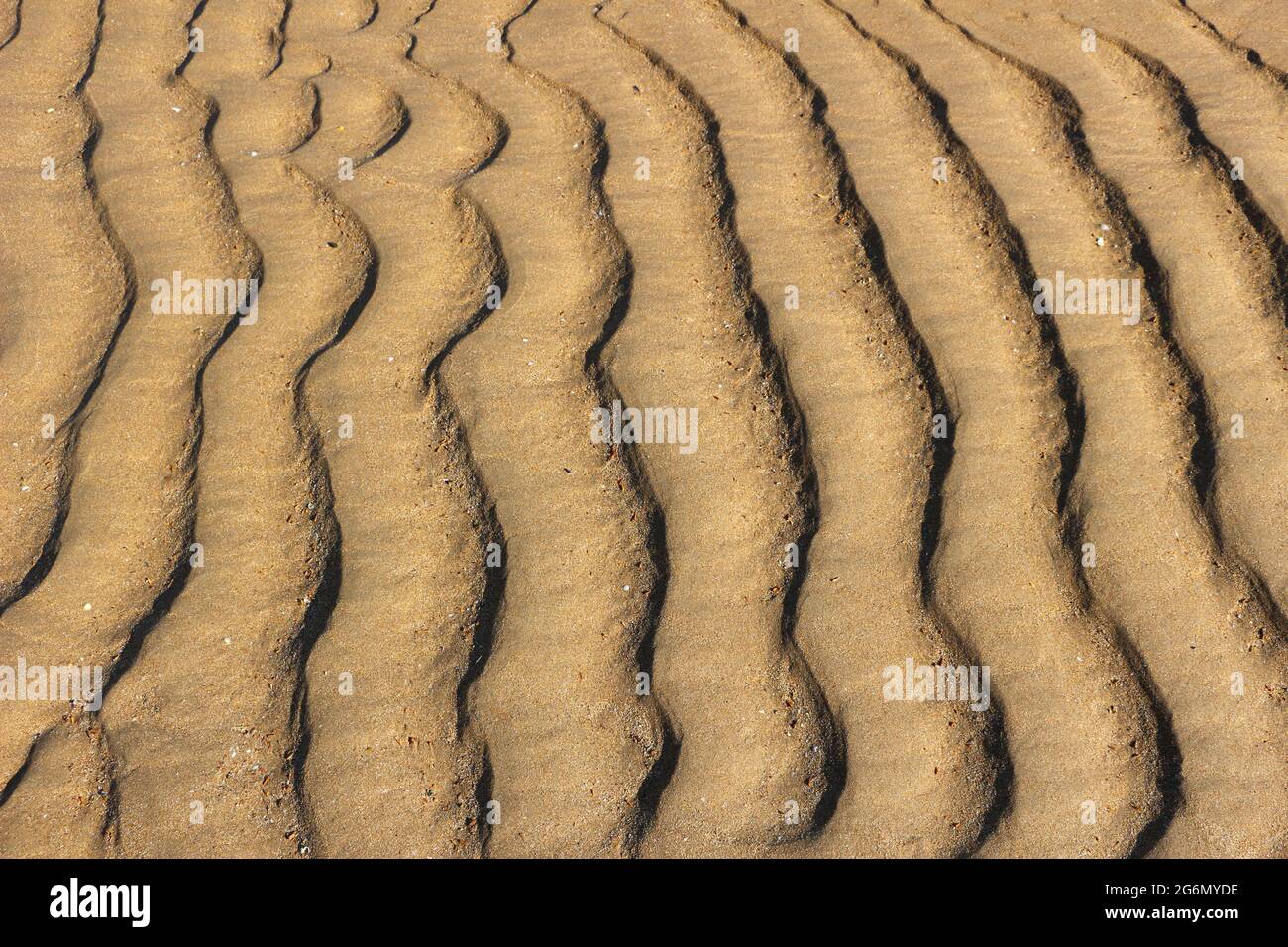 Ripples in sand created by receding tidal sea Stock Photo - Alamy