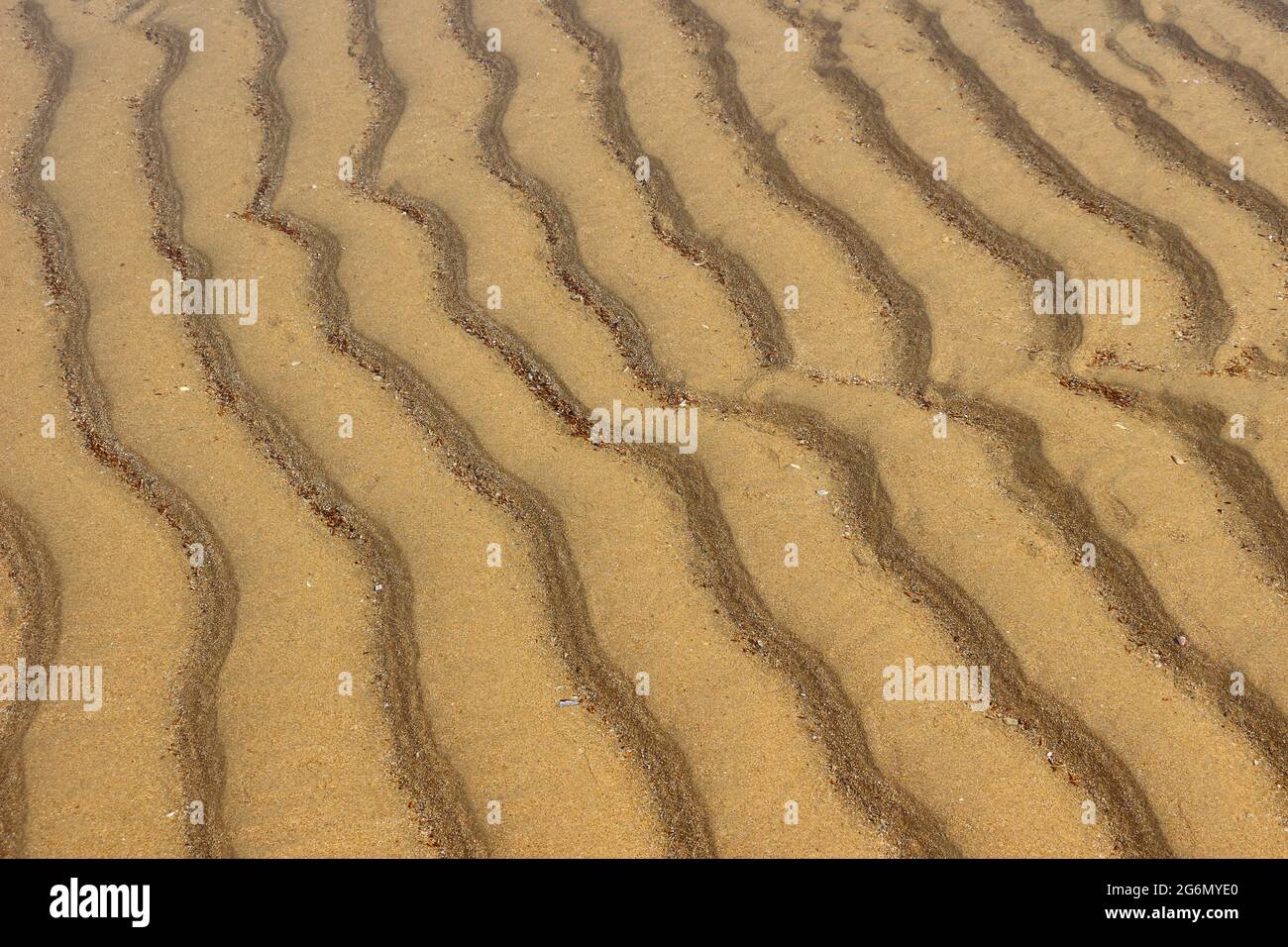 Ripples in sand created by receding tidal sea Stock Photo - Alamy