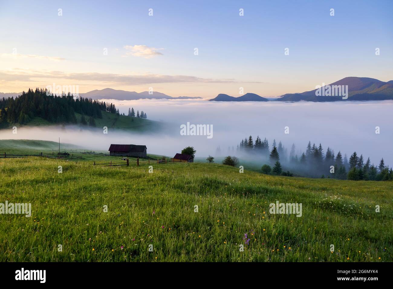 The early morning mist. Majestic spring day. A beautiful landscape with ...