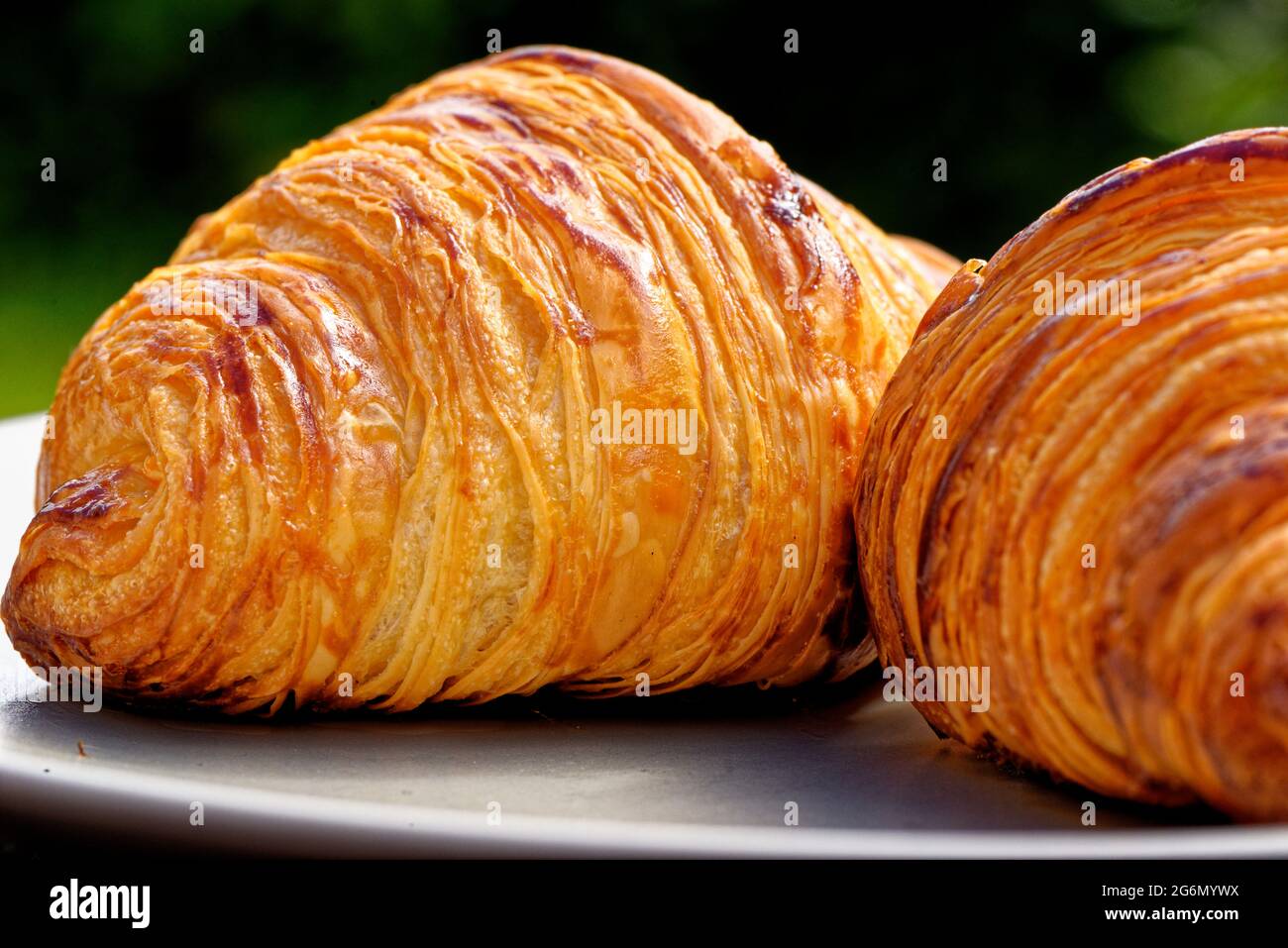 Fresh croissant, puff pastry and buttered french croissant on a plate ...