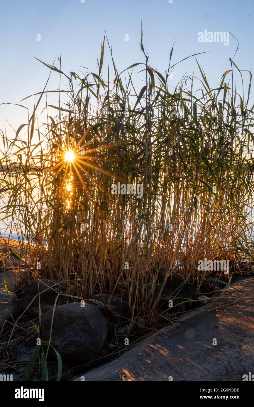 Helsinki / Finland - JULY 3, 2021: Setting sun casting lightrays behind ...