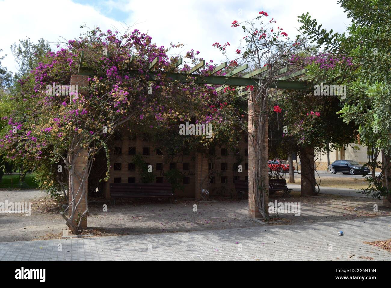 Beautiful bus stop with plants Stock Photo - Alamy