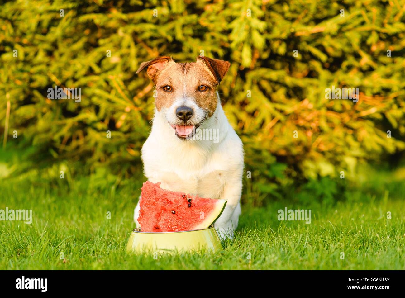 Summertime outdoor fresh food hi-res stock photography and images - Alamy