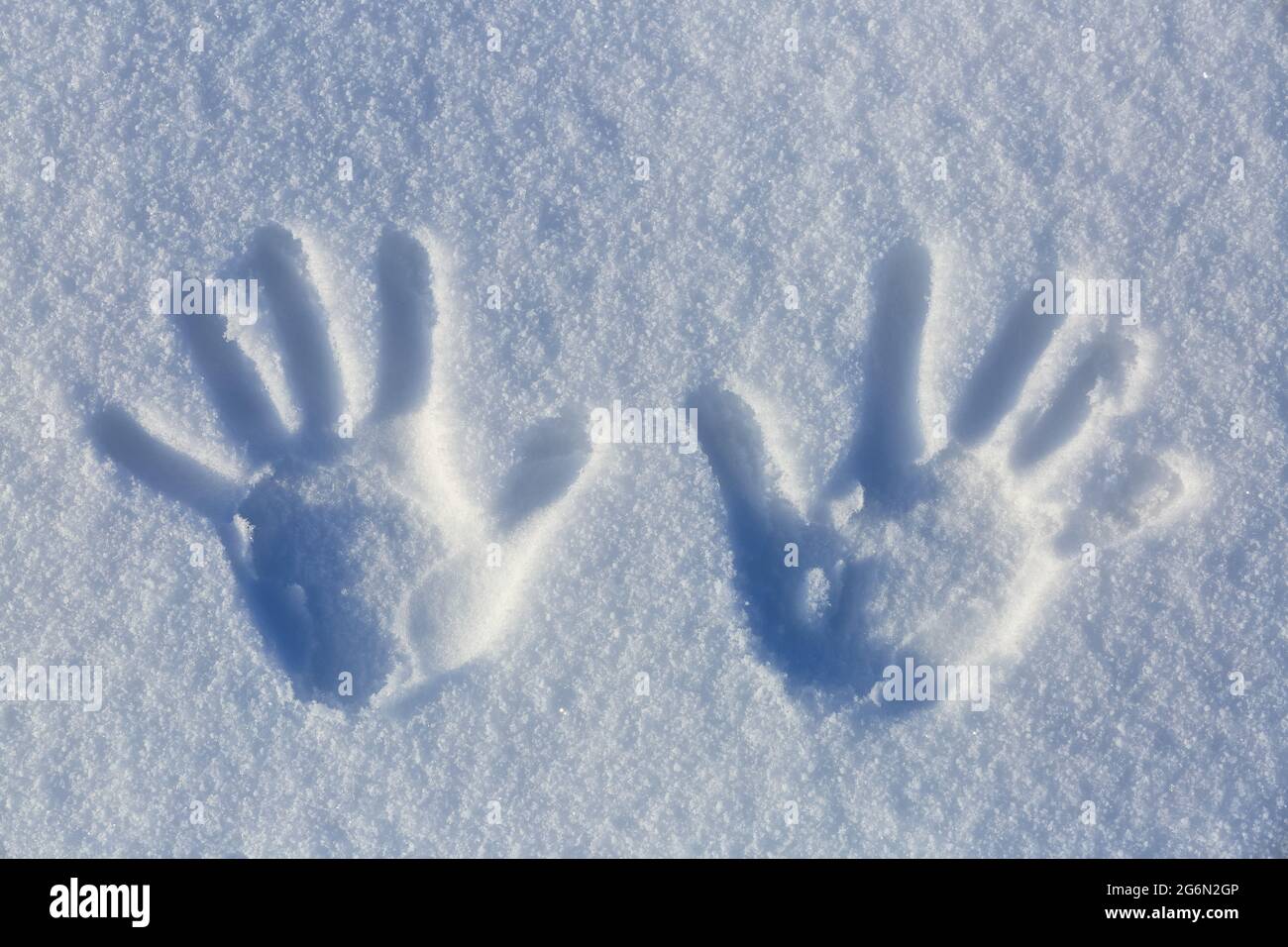 Hands prints on the cold white snow with a winter sunny day. Widescreen ...