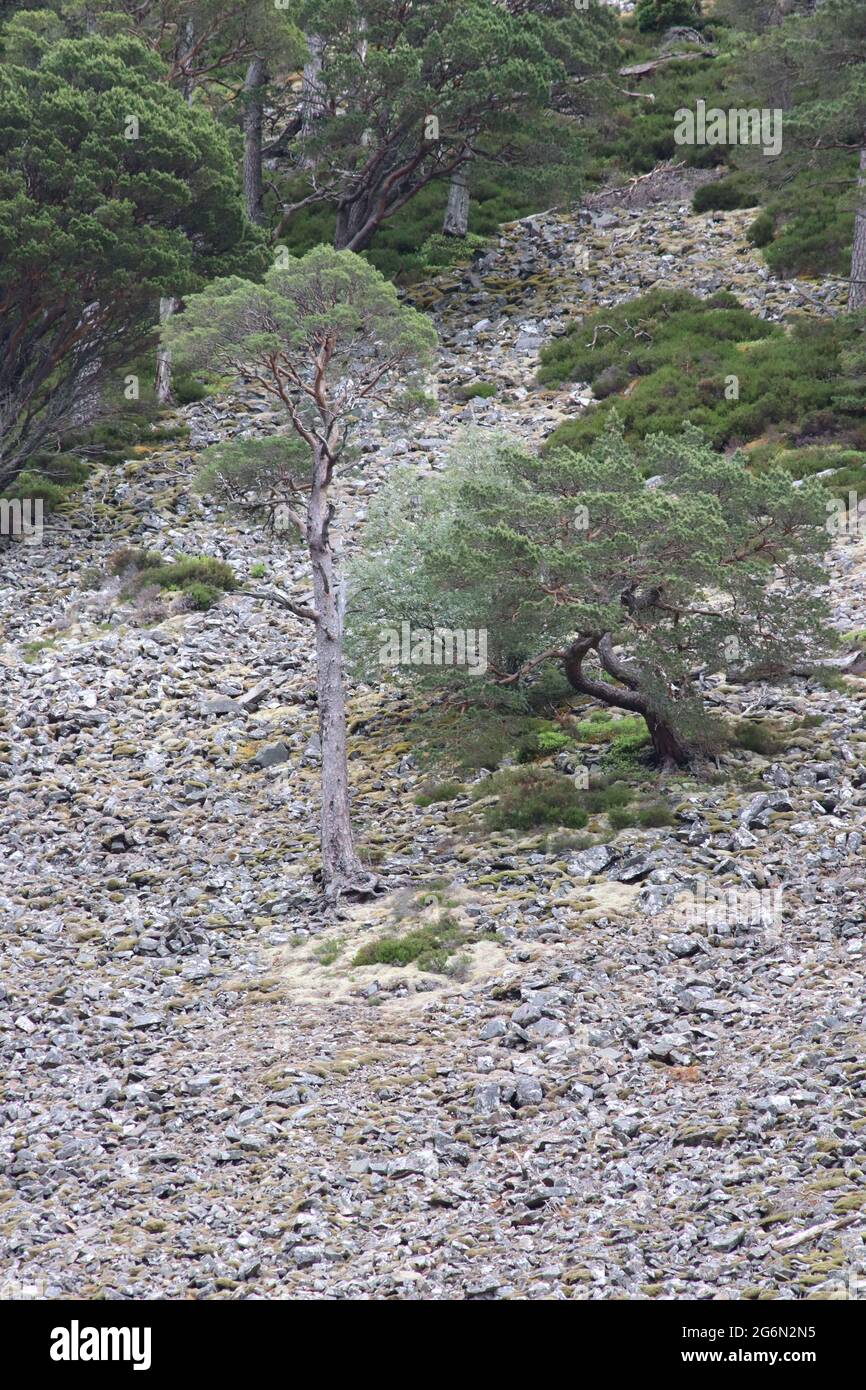 Scottish shale hi-res stock photography and images - Alamy