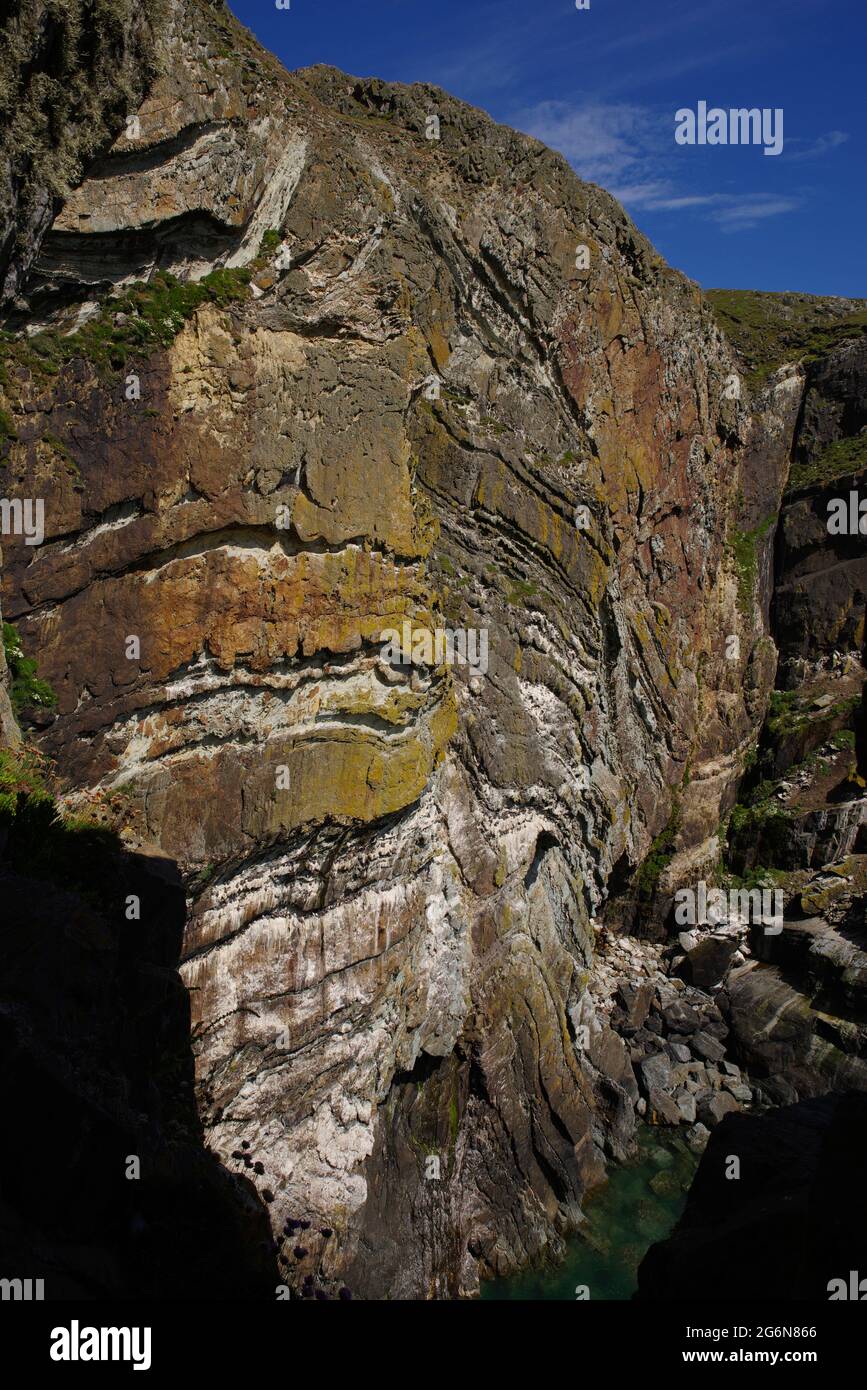 South Stack Cliffs, Holyhead, North Wales Stock Photo - Alamy