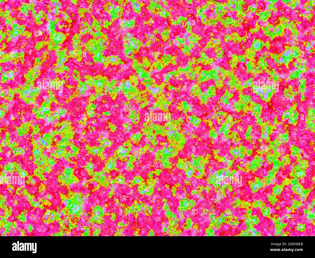 Pied coloring hi-res stock photography and images - Alamy