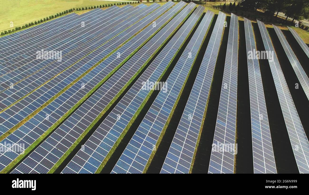 Drone cells hi-res stock photography and images - Alamy