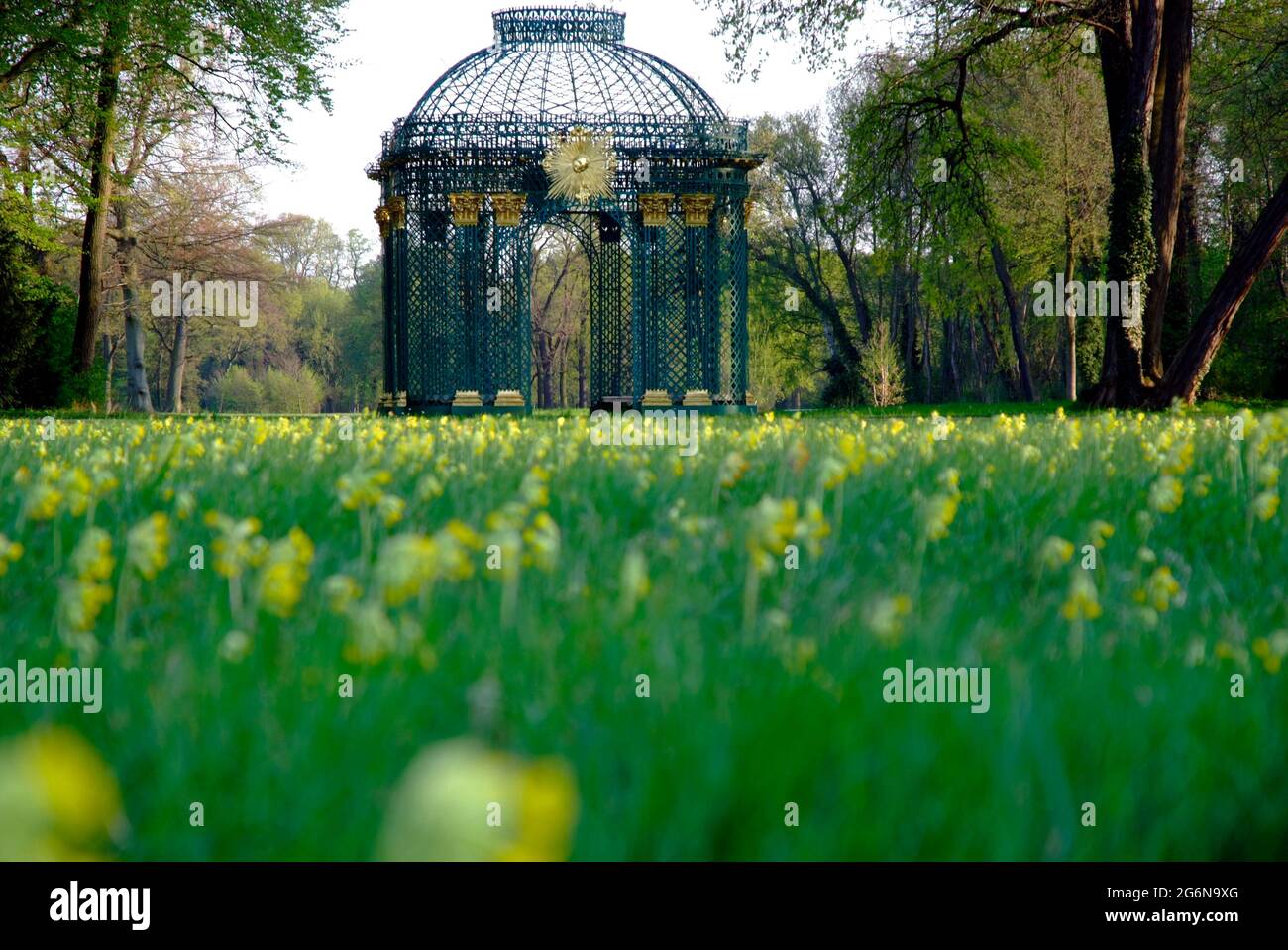 Sanssouci park potsdam flowers hi-res stock photography and images - Alamy