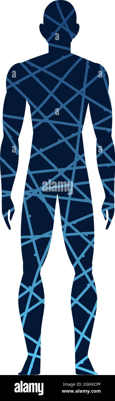 healthy human body Stock Vector Image & Art - Alamy