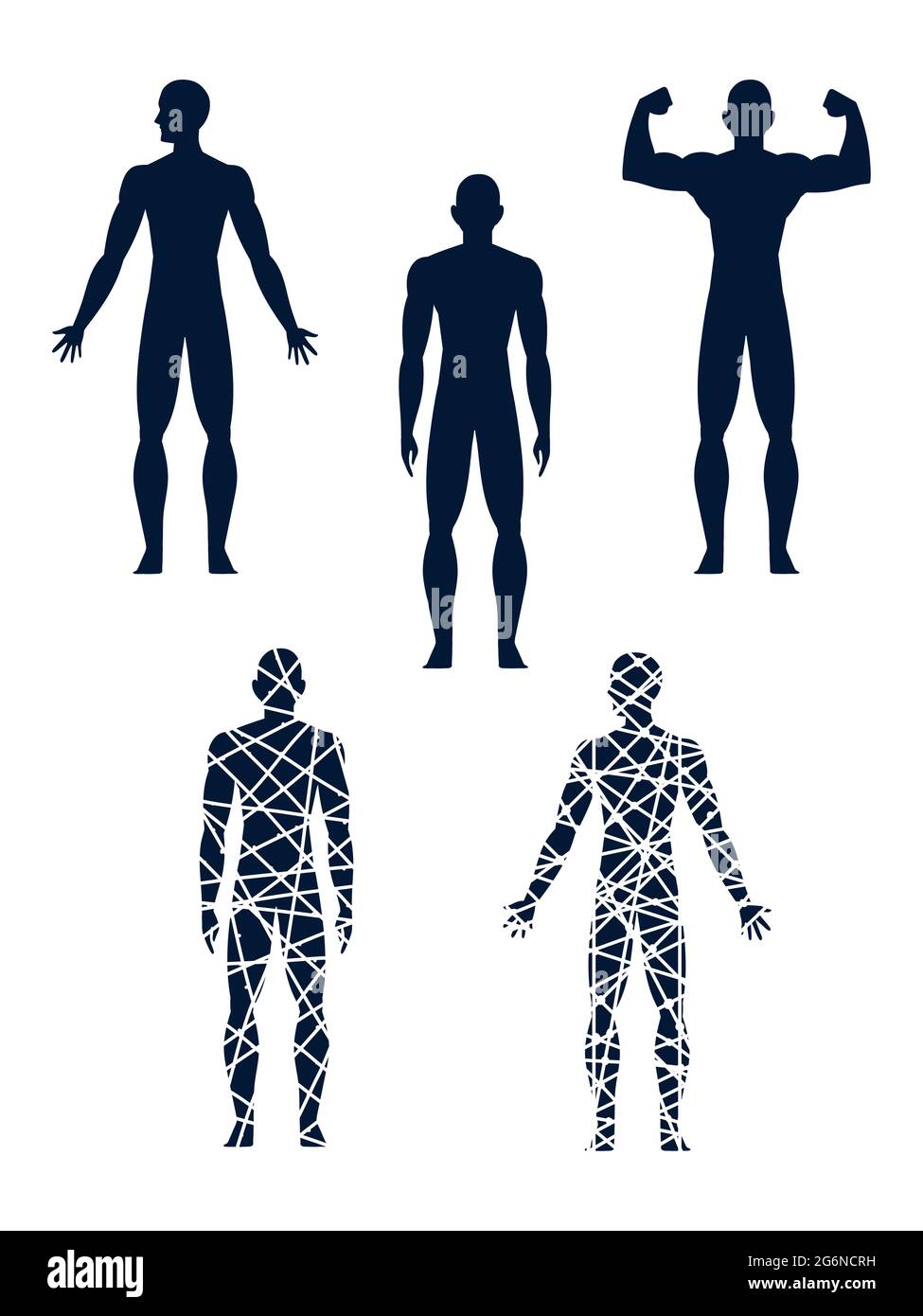 human body healthy Stock Vector Image & Art - Alamy