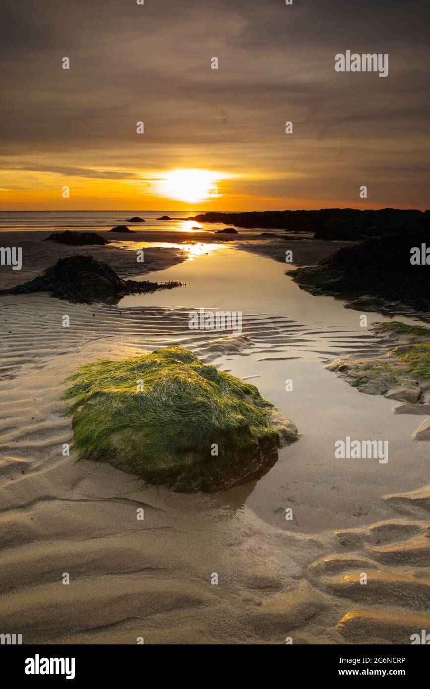 Porth Swtan, (Church Bay) Anglesey Stock Photo - Alamy