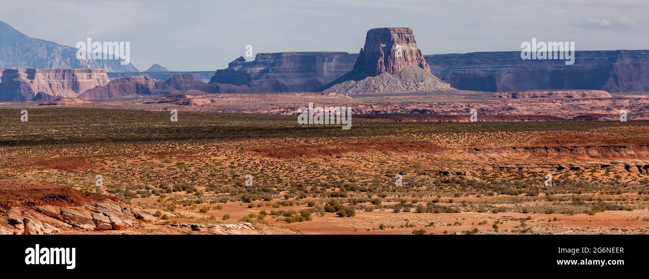 Distinctive feature hi-res stock photography and images - Alamy