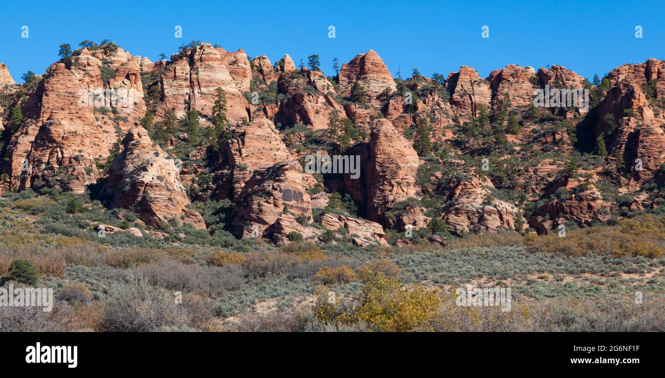 Sandstone ridge zion national park hi-res stock photography and images ...