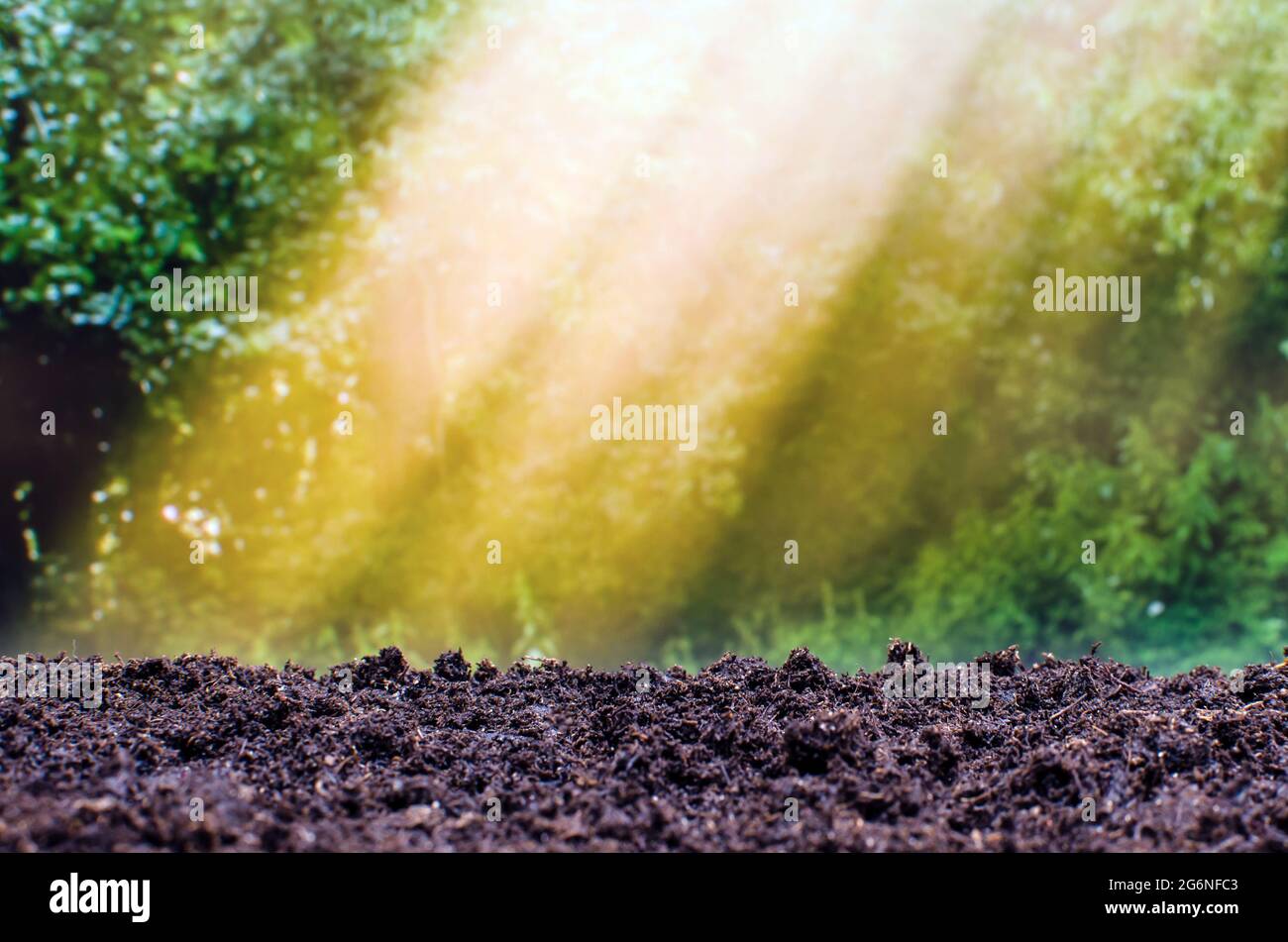 empty soil ready for plants on green leaves background Stock Photo - Alamy