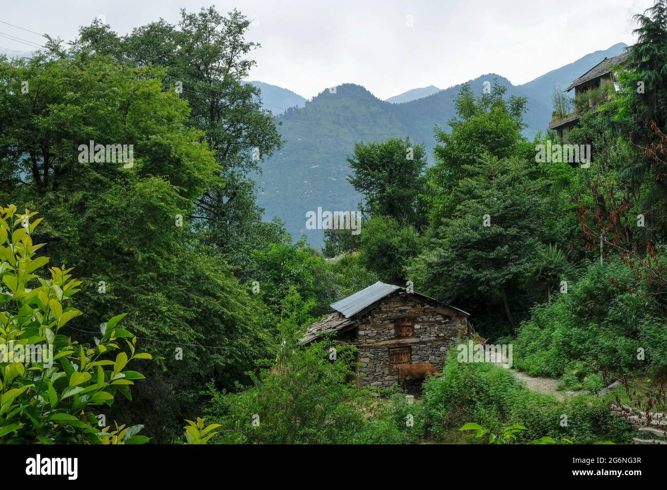 Naggar, India - June 2021: Views of Naggar village in the Kullu ...