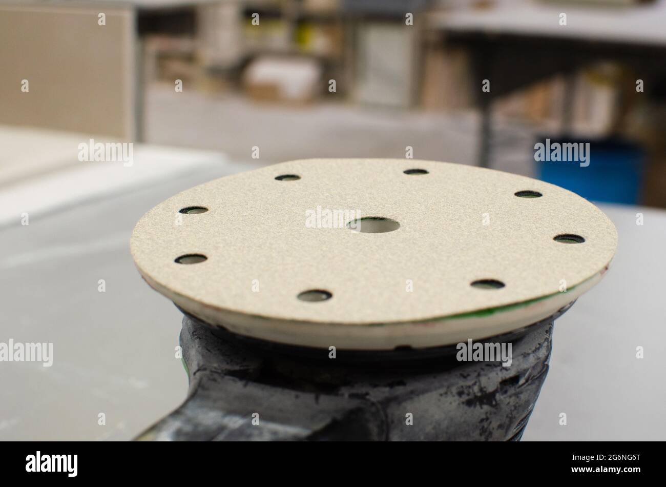 Sandpaper tree hi-res stock photography and images - Alamy