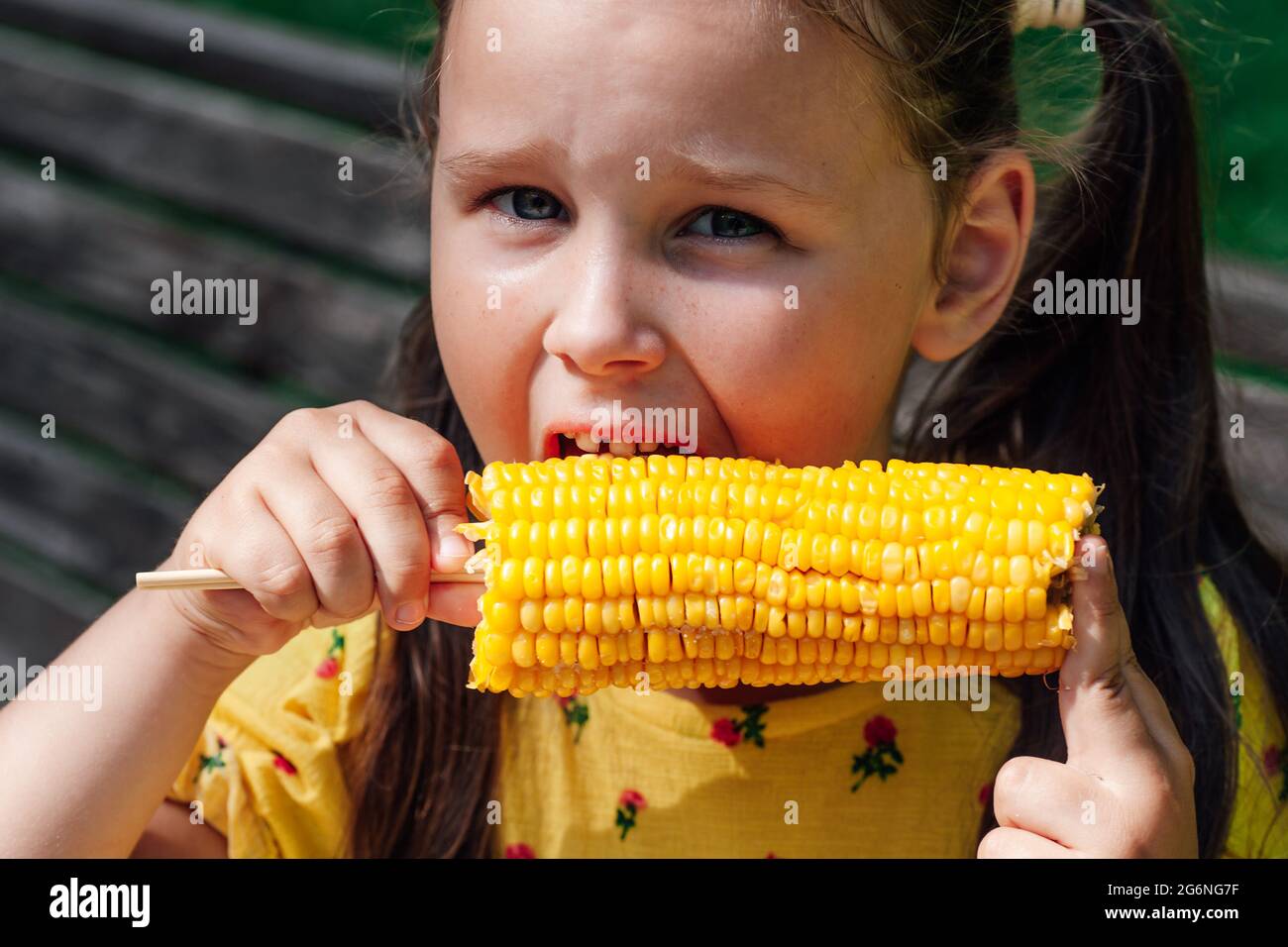 Close-up portrait of a girl with corn. Girl eating sweet boiled corn ...