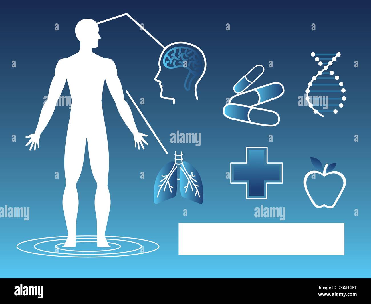 human body medical and healthy Stock Vector Image & Art - Alamy