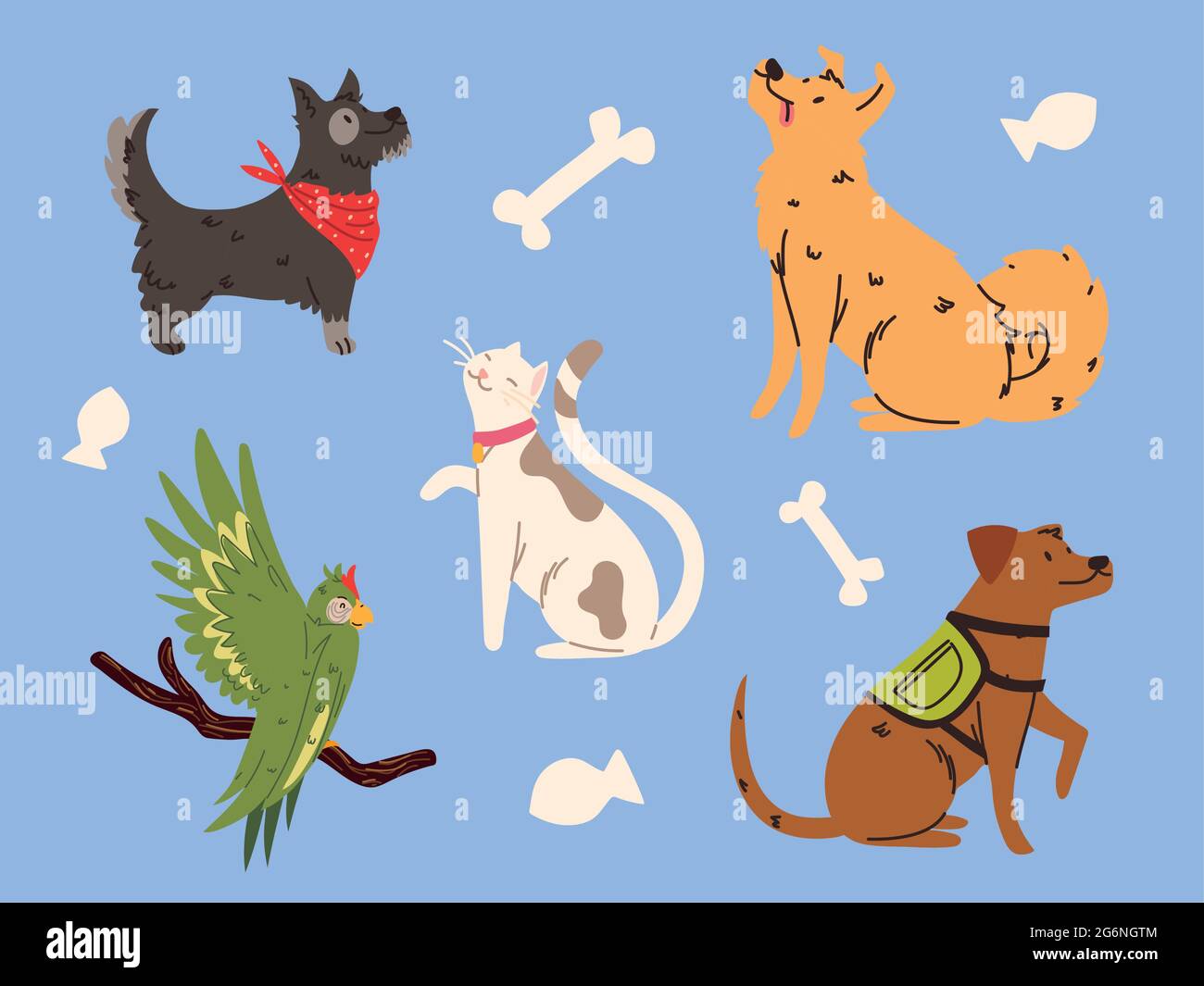 pets animals set Stock Vector Image & Art - Alamy