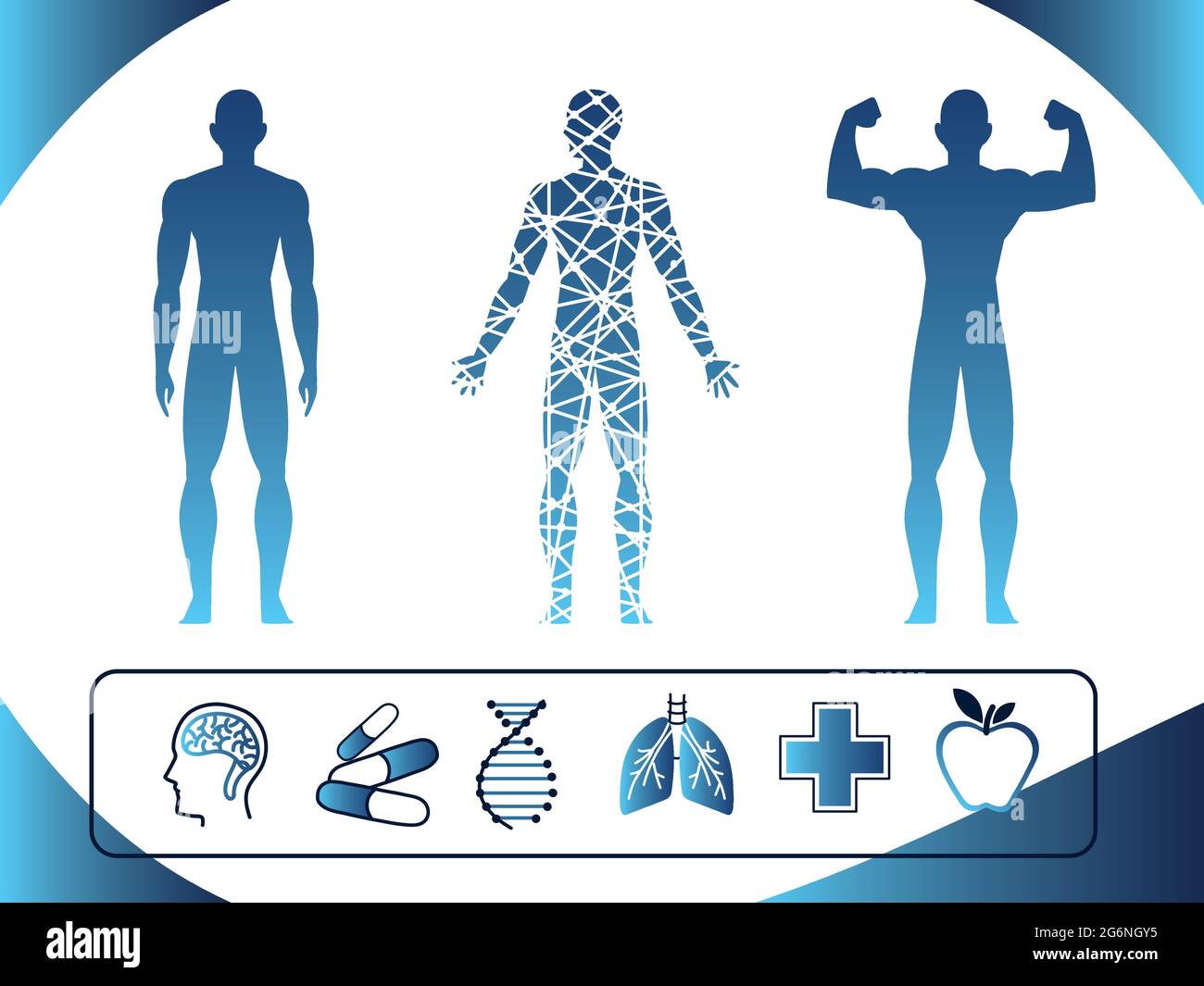 human body healthy icons Stock Vector Image & Art - Alamy