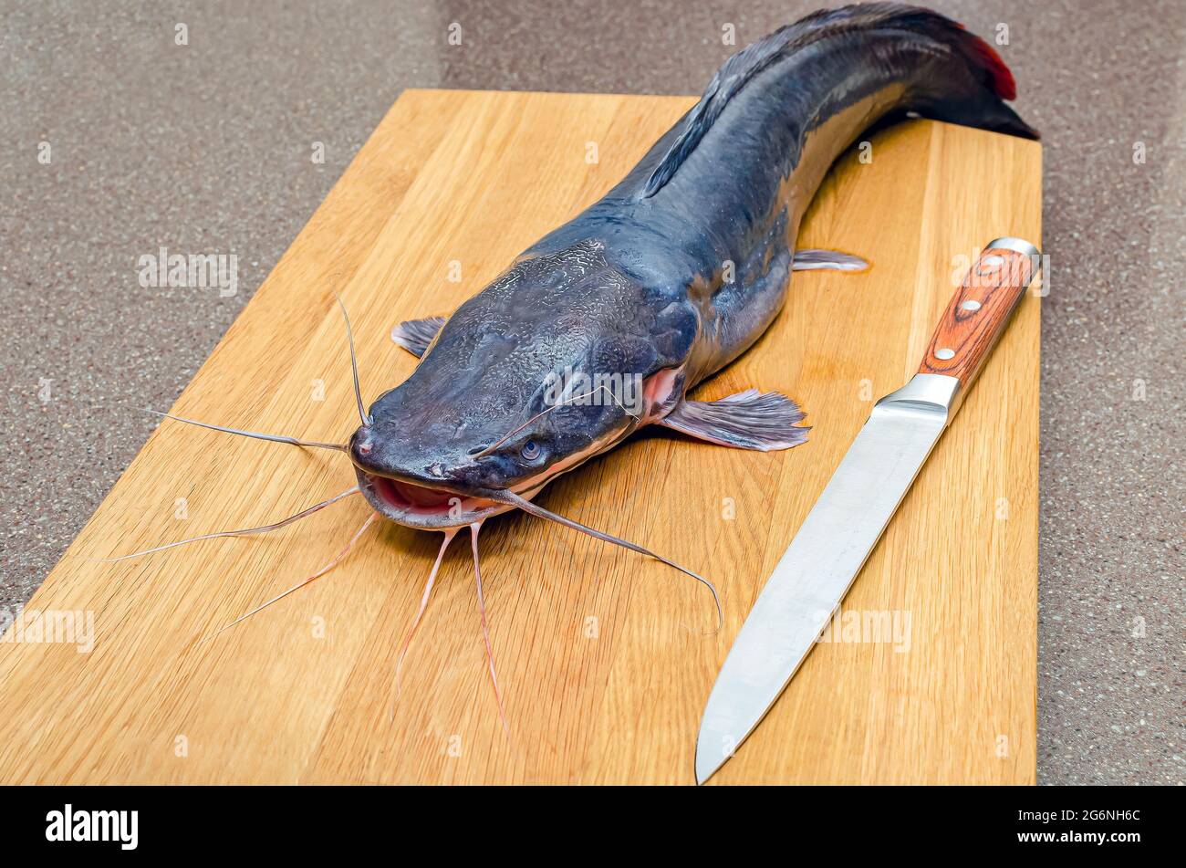 Raw catfish on a cutting board, cooking fish Stock Photo - Alamy