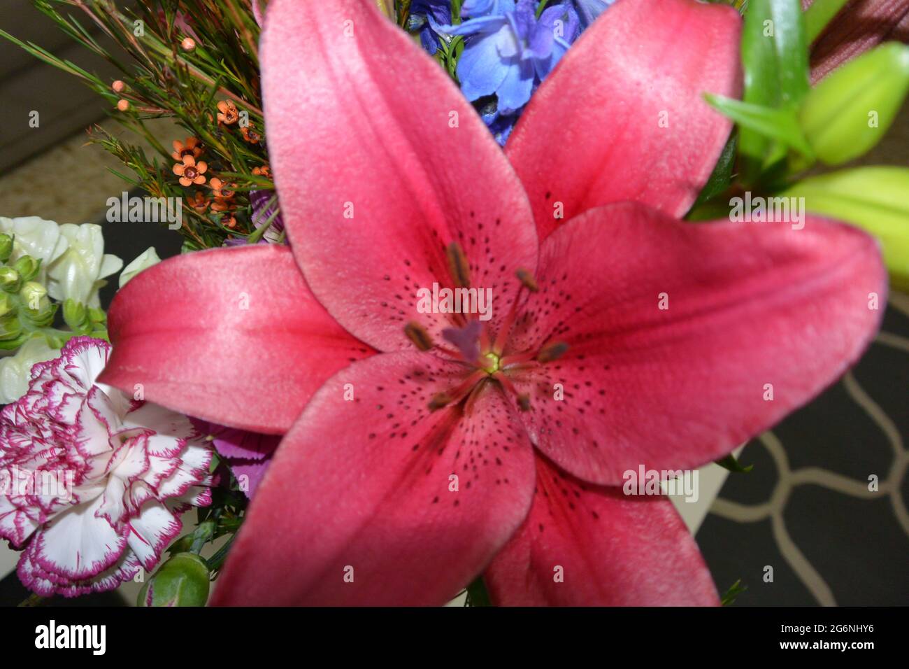 Lily other flowers in hi-res stock photography and images - Alamy