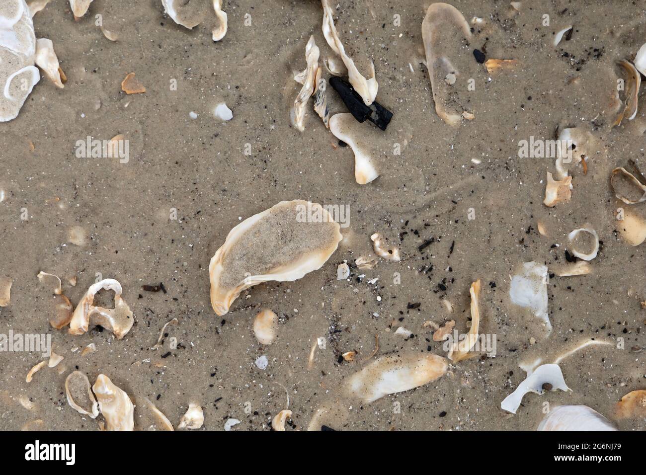 Broken wall at beach hi-res stock photography and images - Alamy
